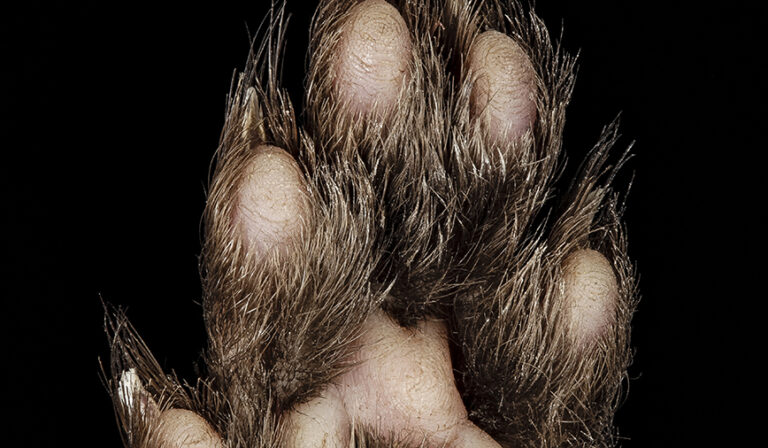 Mink Tracks | Good Natured