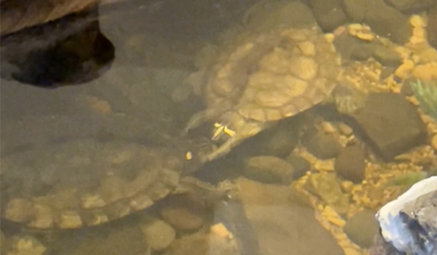 Hickory Knolls Discovery Center | a facility of the St. Charles Park ...